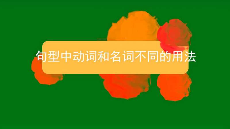 句型中动词和名词不同的用法
