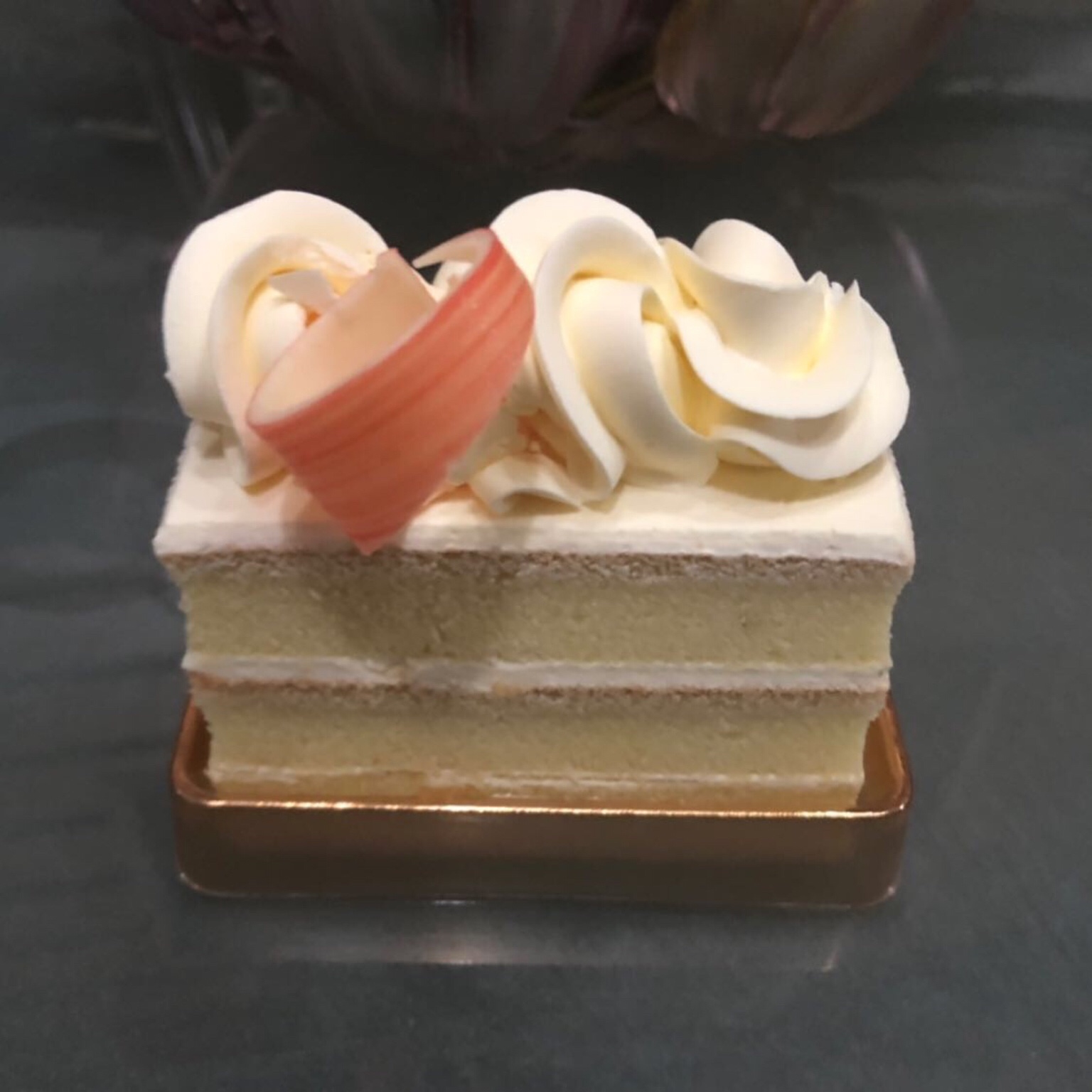 一只特立独行的小奶猫 