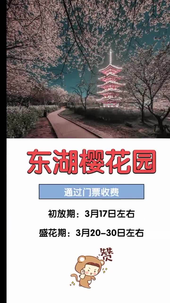 武汉樱花樱花节樱花季马上要来了想好去哪了吗