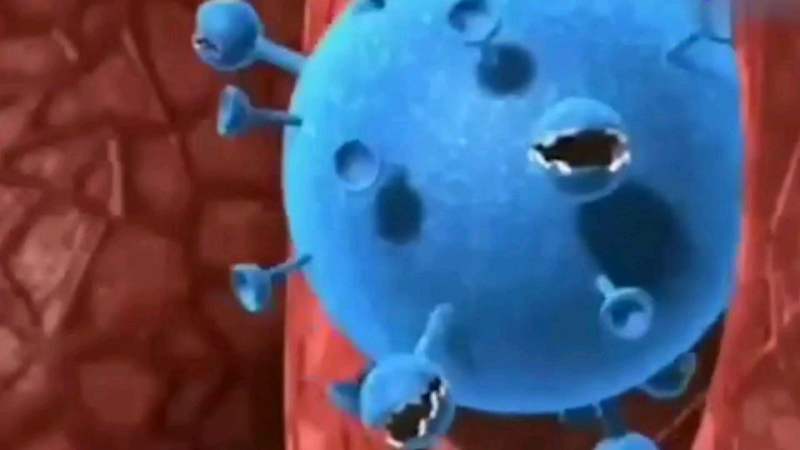 新冠病毒不可怕,四个方法可灭它