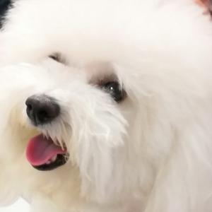 孤痕哭了讲大学 