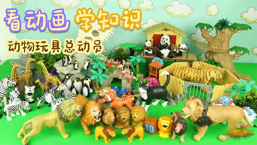 儿童益智早教动画,带着小朋友,一起认识小动物,老虎熊猫长颈鹿