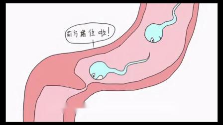 深圳远东不孕不育医院:输卵管堵塞有什么样症状?怎么能治好?