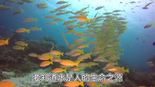 古代打井,为什么要在井里放只乌龟?
