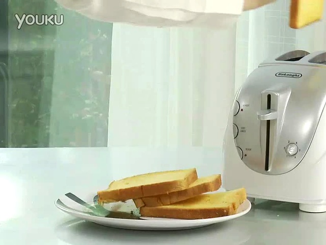 意大利德龙 多士炉 CKT2003