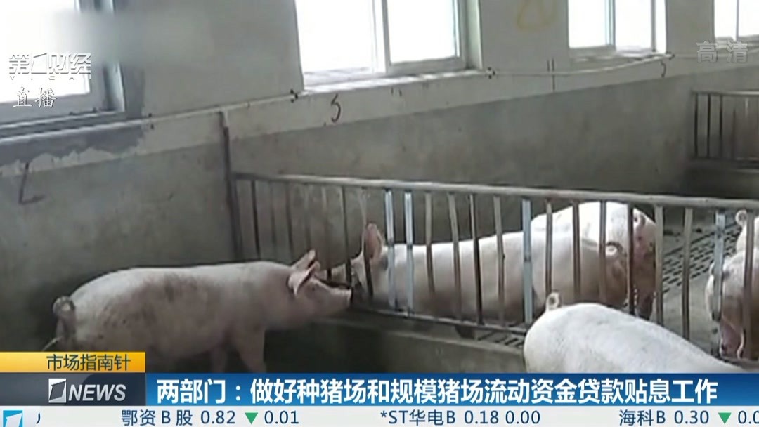 做好种猪场和规模猪场流动资金贷款贴息工作