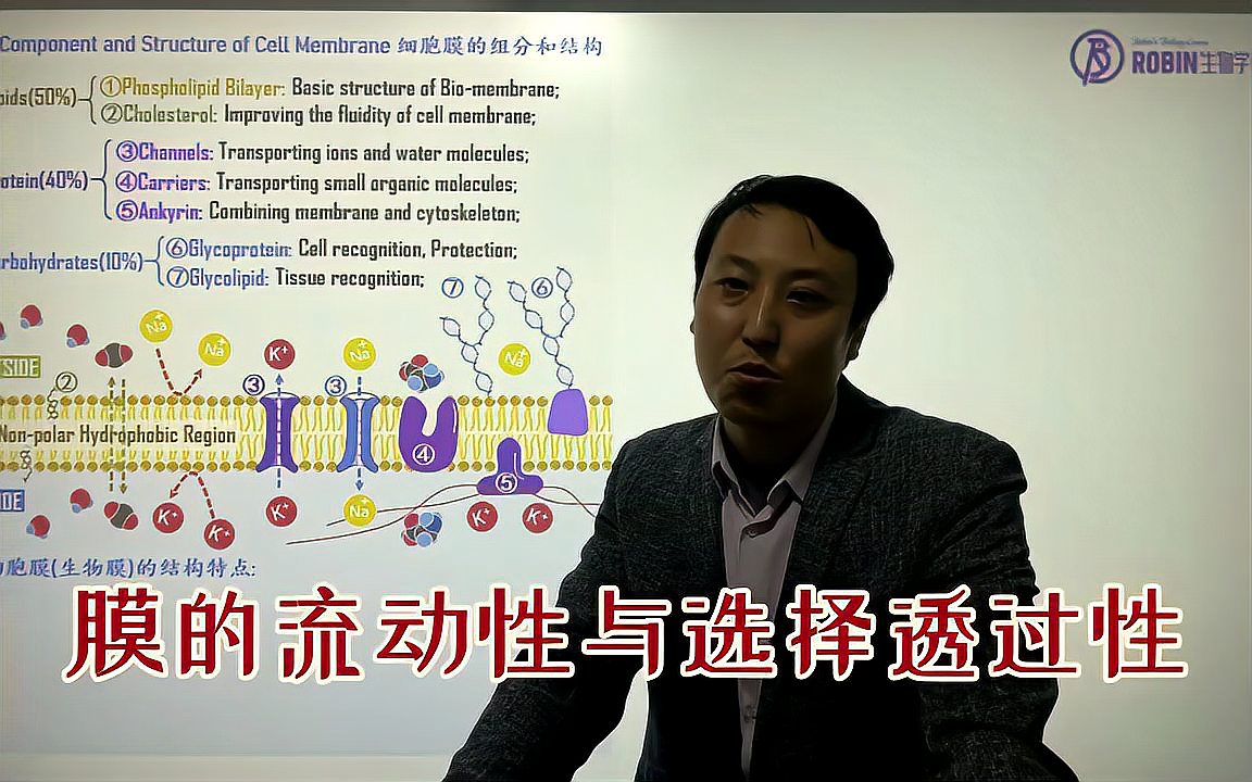 048细胞膜的流动性和选择透过性