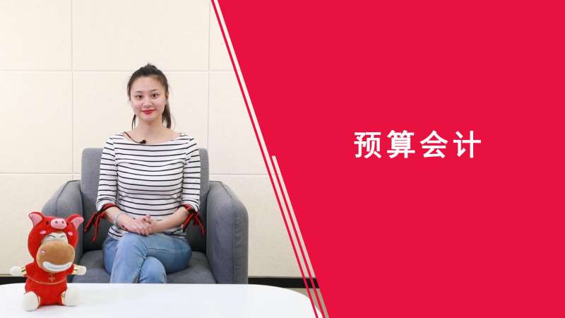 什么是预算会计