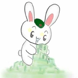 小兔子的碎碎念念 