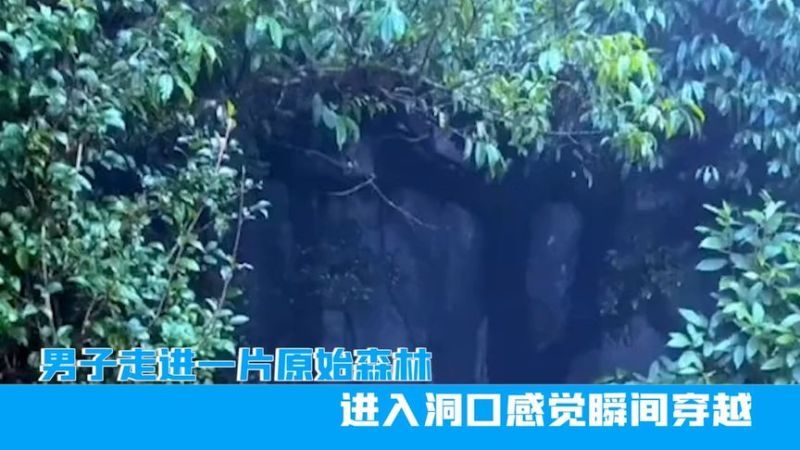 云南男子走进一片原始森林,进入洞口感觉瞬间穿越,网友:很神奇