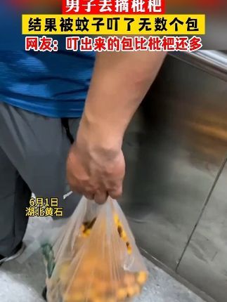 男子去摘枇杷,结果被蚊子叮的包,比他摘的枇杷还多!#趣事