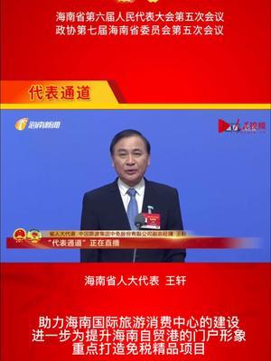 2022海南两会海南省人大代表王轩:助力海南国际旅游消费中心的建设,...