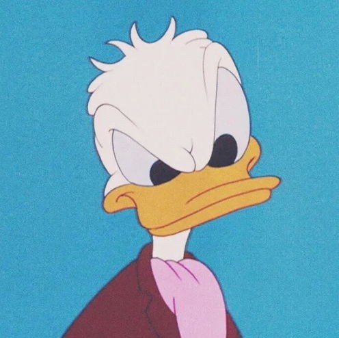 头没秃还能继续码 