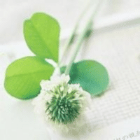 欧小珍说三农 
