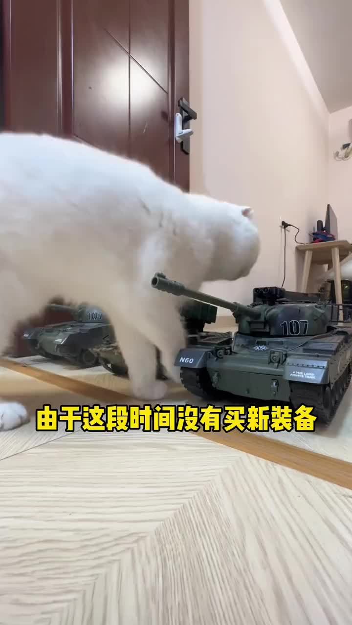 这次的格斗机器人终于不是来搞笑的了