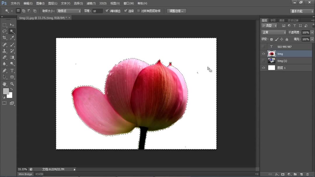 ps笔刷怎么安装 网站美工 photoshop基础教程