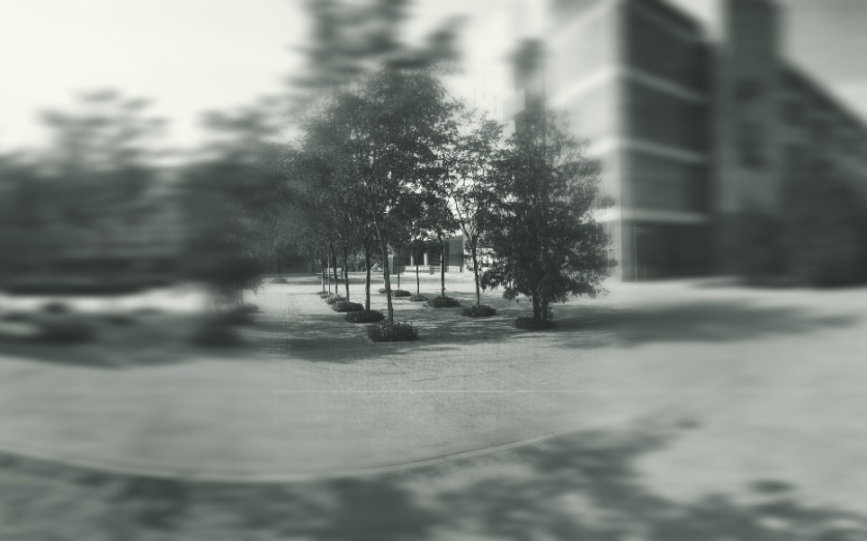 我和我们——准高三校园实录