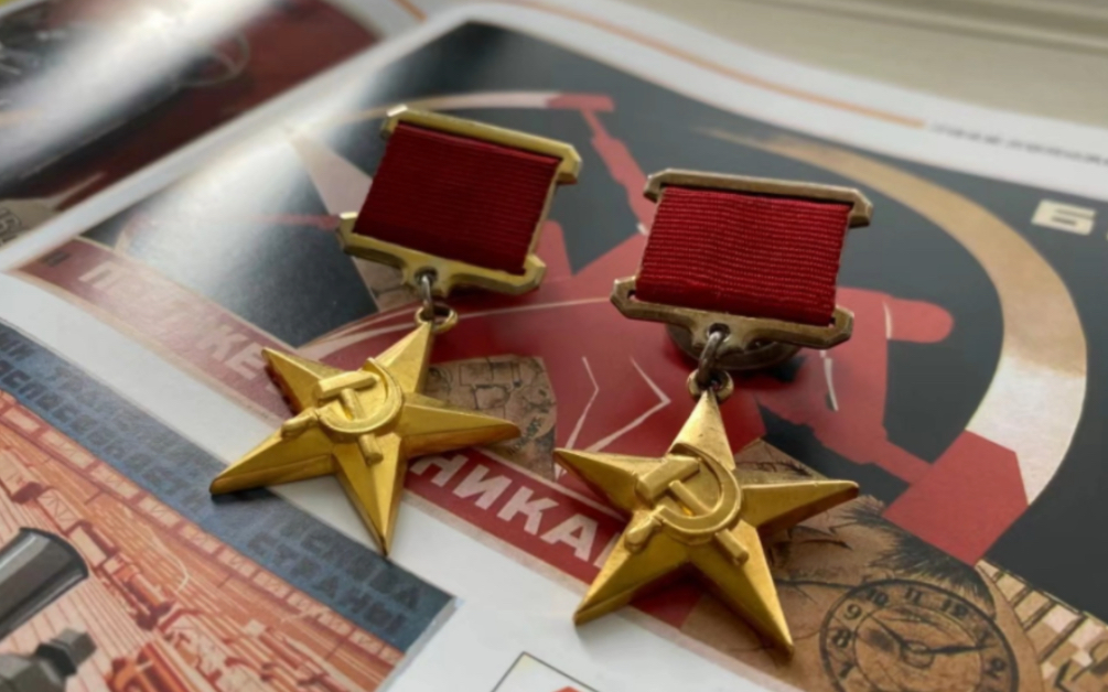 ...劳动英雄奖章,小金星,得主为参与切尔诺贝利核电站事故审判的陪审员