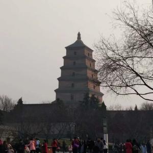 洪城玉面小飞龙 