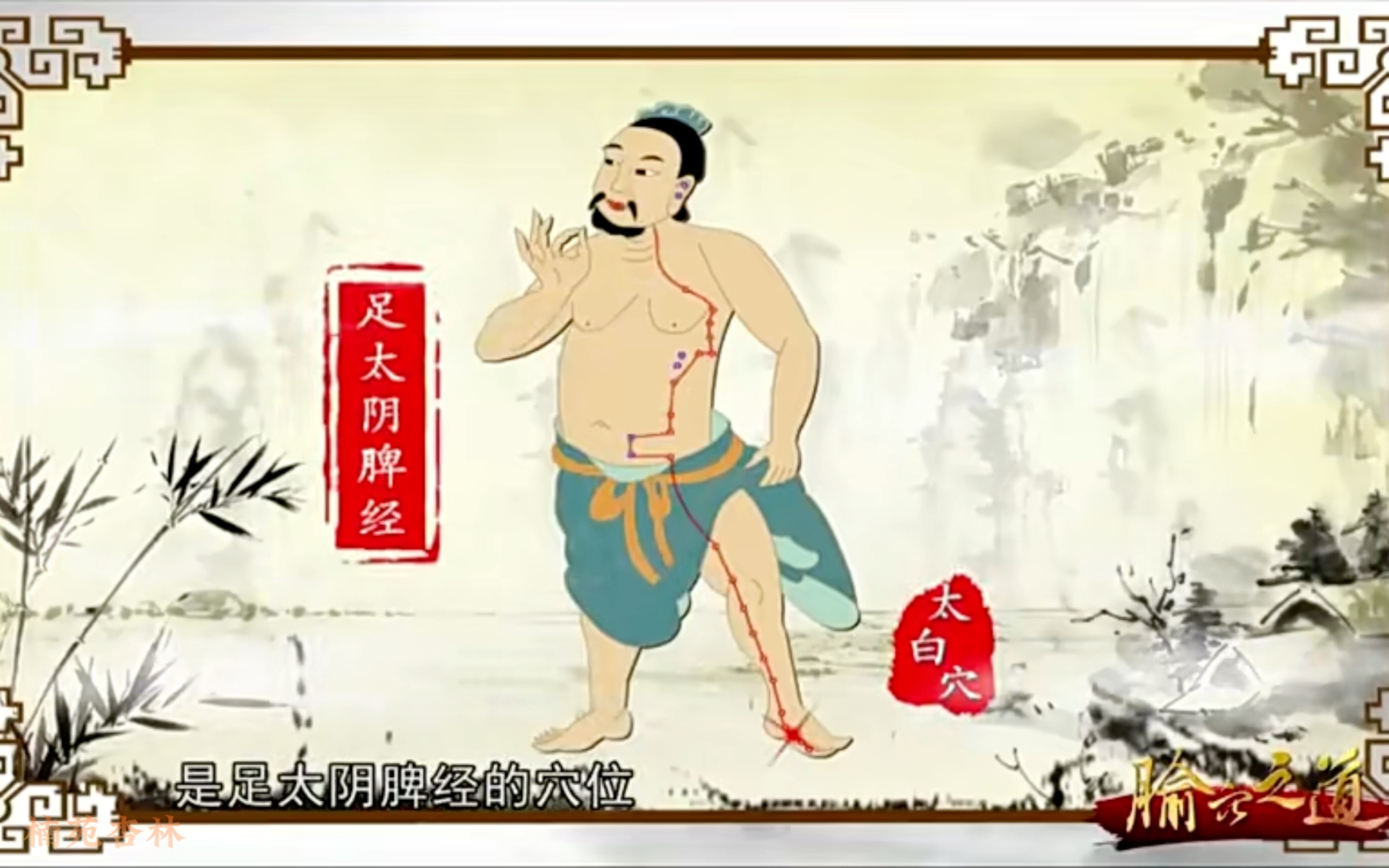 脾经-太白穴 齿痕重、脾虚、消化不良来看看~