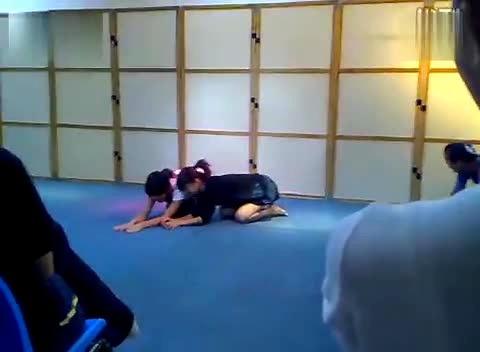 表演课动物模拟