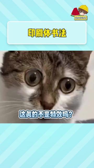 我甚至怀疑题目也是写的#小学生 #试卷 #书法 #硬笔书法