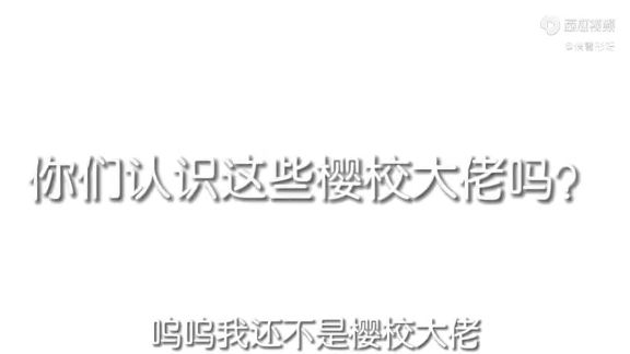樱校全部大佬集合。这些大佬你都认识吗?