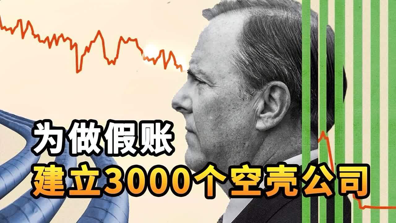 真实的欺诈事件,世界五百强公司为做假账,.