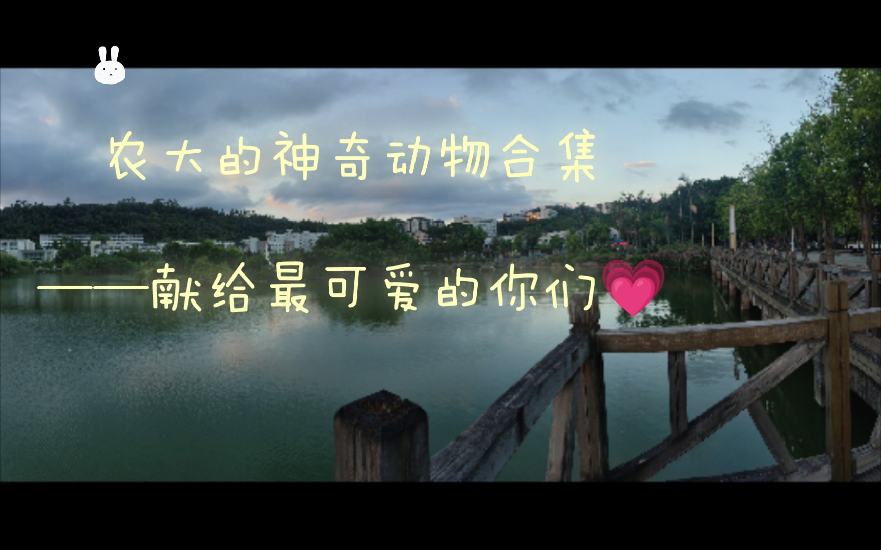 【小动物大可爱】献给所有2022级小萌新们❤️只要你热爱生活,生活...