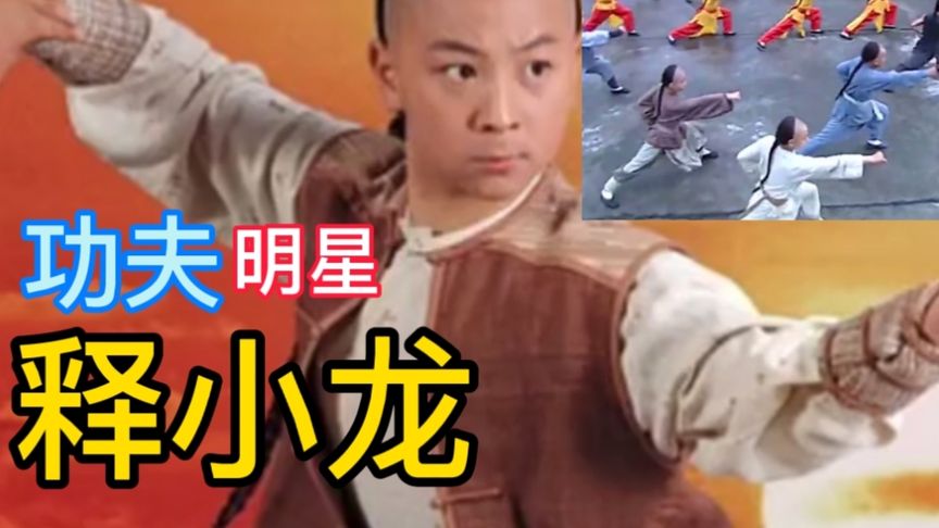 功夫明星释小龙精彩武打片段,你喜欢吗?