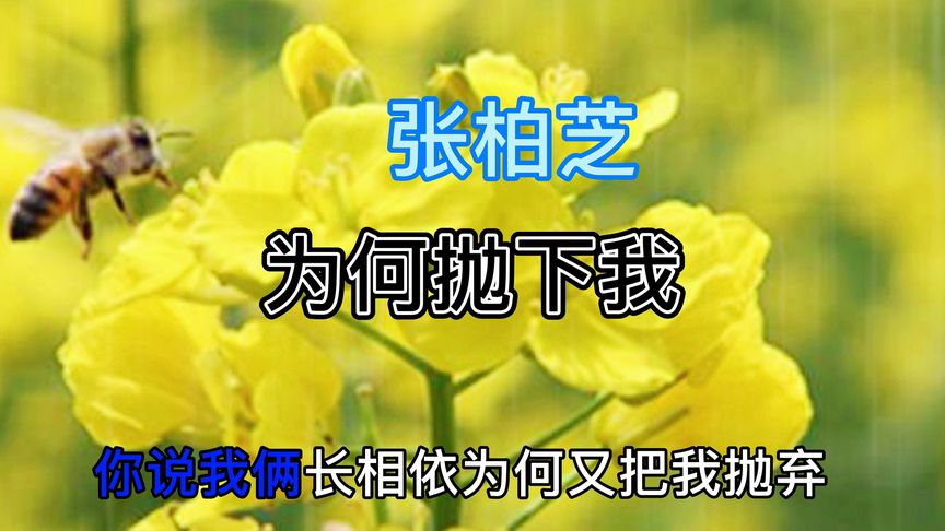 张柏芝的一首《为何抛下我》唱哭了多少