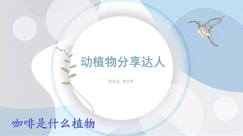 咖啡是什么植物,有什么特点