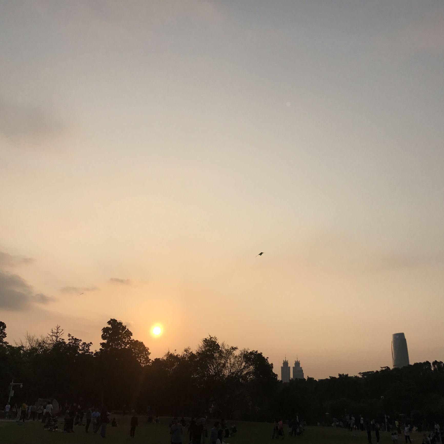 星空233689 