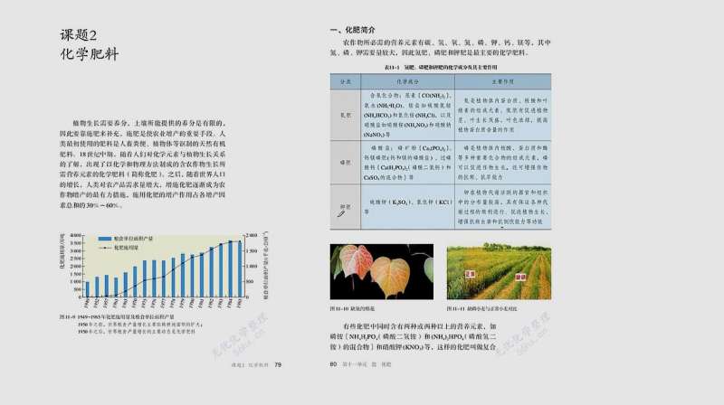 初中化学知识点精讲酸碱盐8