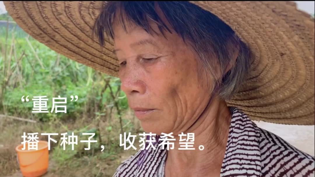 最美的季节,播种下种子,收获"重启"新希望