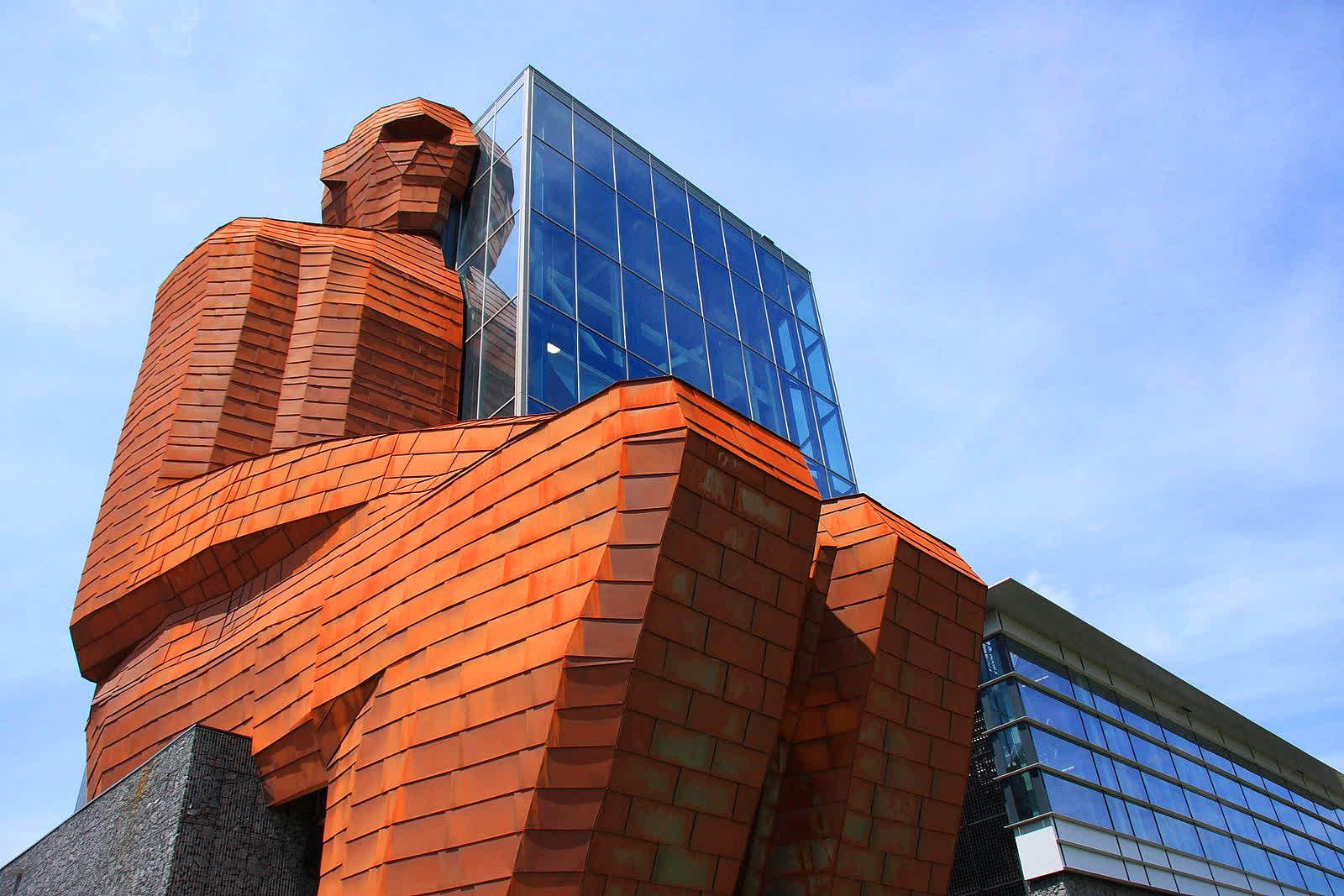 人体大厦,内部人体血管内脏全部都有!