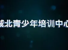 scratch少儿编程系列之三《外观模块(中)》