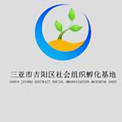 吉阳区社会组织孵化 