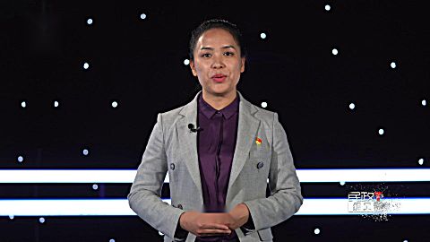 北京民政公开课-组工讲坛第一季第3集《主题党日活动怎么抓》王韩丽