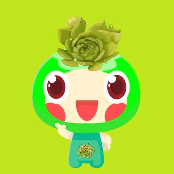 丽波的花园 