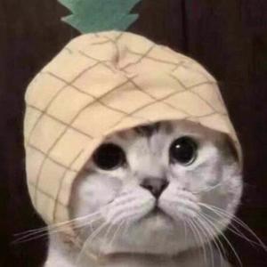 柯南的or小白 