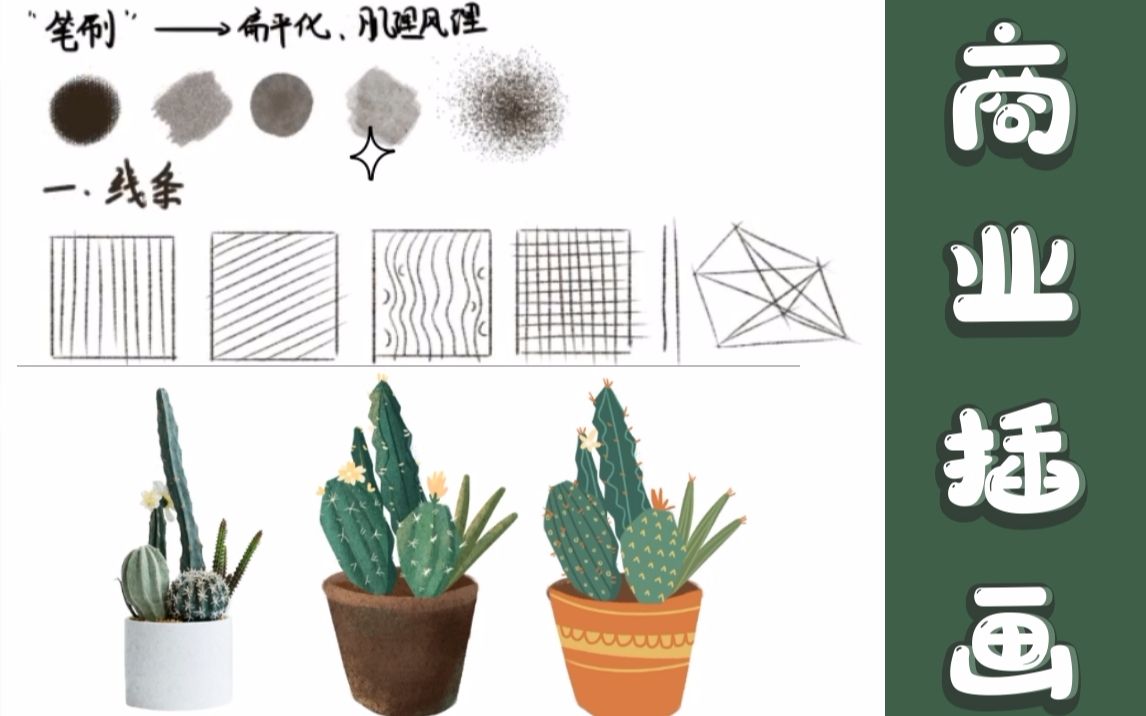 【PS插画教学】实用商业插画基础入门教程之植物绘制