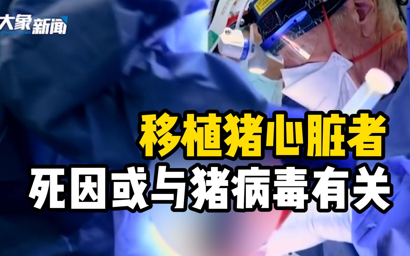 全球首例移植猪心脏者仅存活两个月,死因或与猪病毒有关