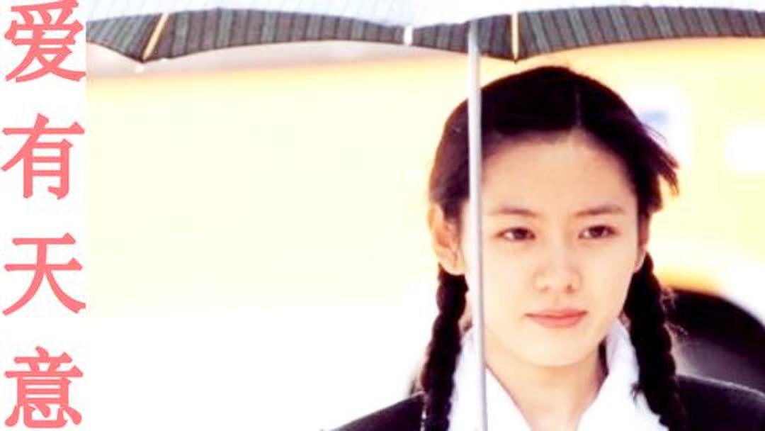 水墨画般的美丽爱情《假如爱有天意》