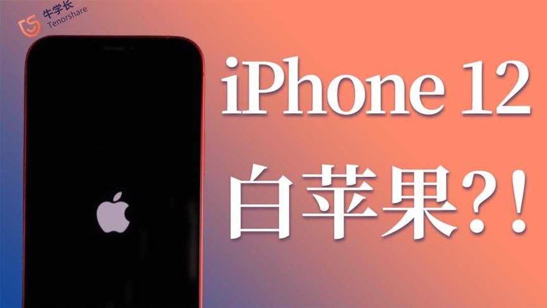 【2021】iPhone12白苹果无法开机?终极解决教程,苹果用户必备!