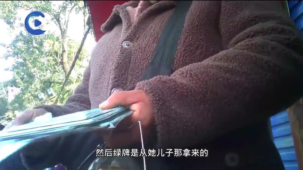 郑州大妈街头卖电动车假绿牌,自称:一天200个不够卖