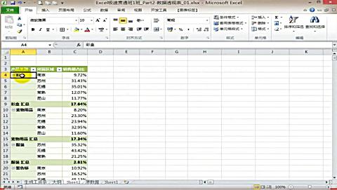 Excel教程数据透视表父级 excel2010基础教程视频 excel2010基础操作...