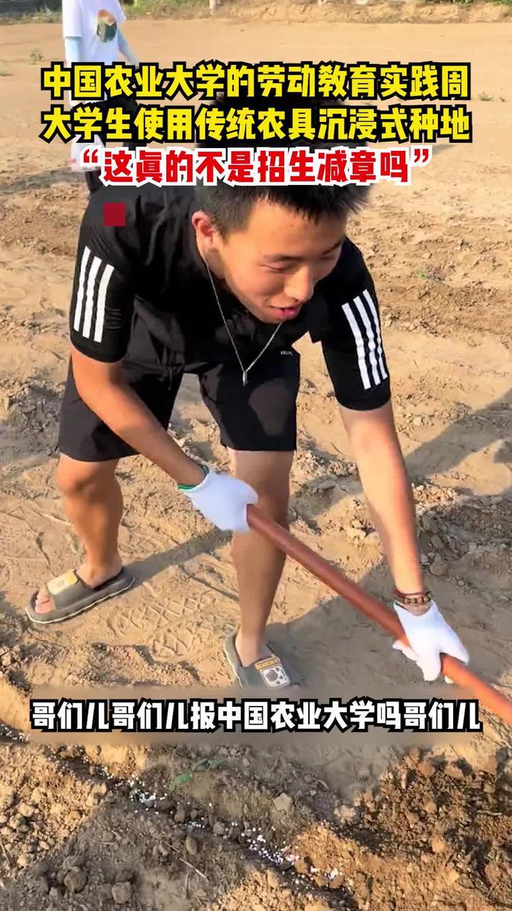 中国农业大学的劳动教育实践周,大学生使用传统农具沉浸式种地,"这...