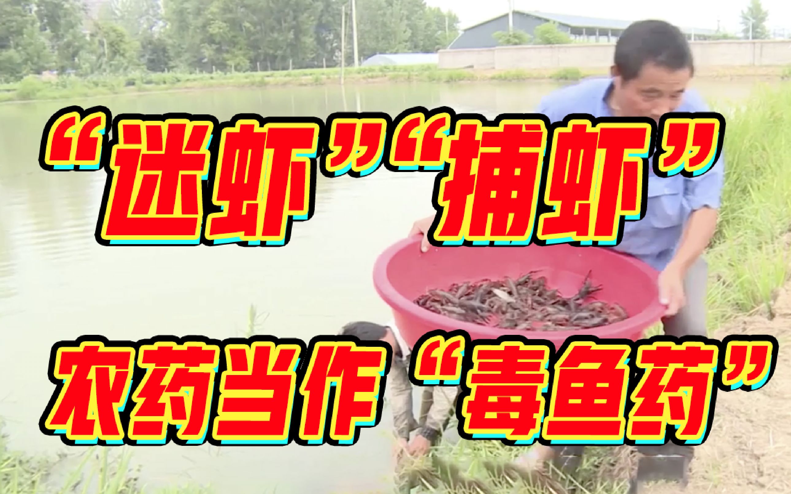 乱象调查:水产养殖用投入品线上销售,有毒!