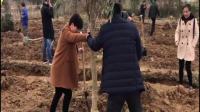 阳逻街组织开展植树造林活动